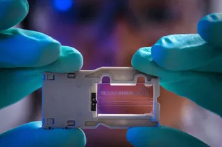 AAIC: first signs are good for gene silencing approach to Alzheimer's ...